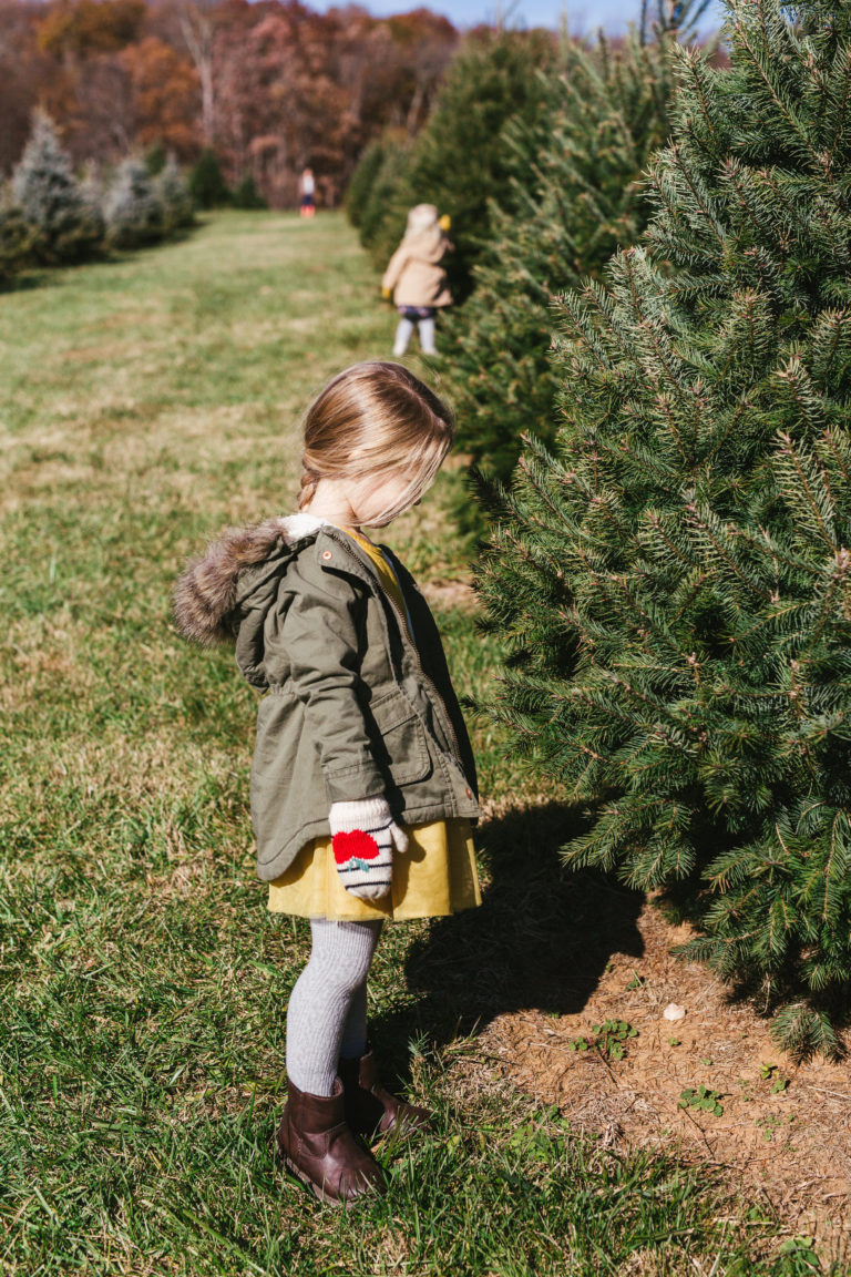 Life With Littles | Our Tree Tradition - A Daily Something