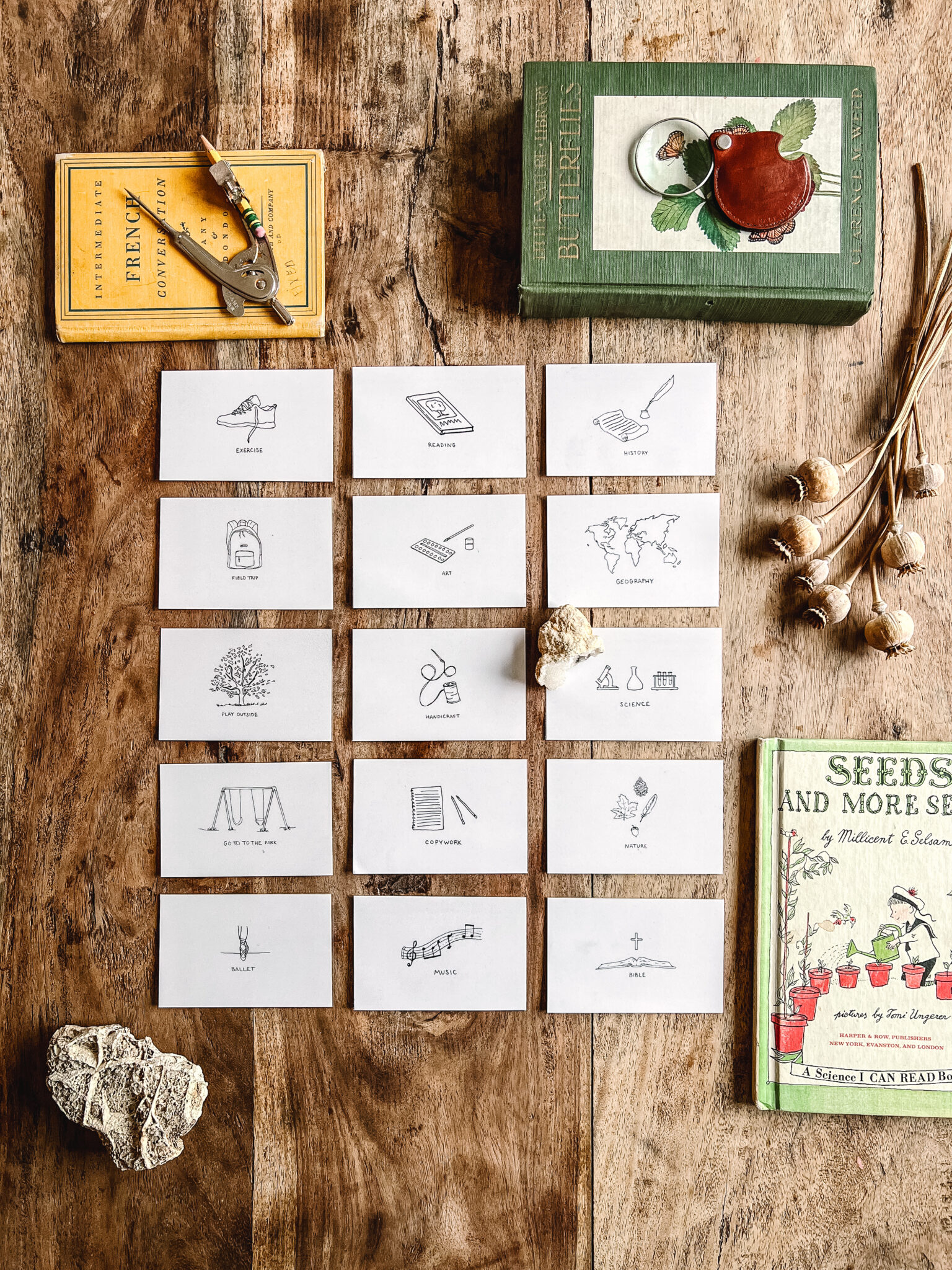 Chore and School Routine Cards - A Daily Something
